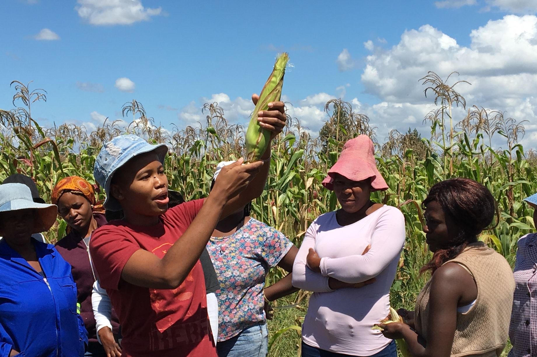 Provide tools to rural women startup farmers in SA - GlobalGiving