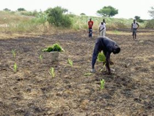 How to Share Better Agricultural Practice for Poor Farmers - GlobalGiving