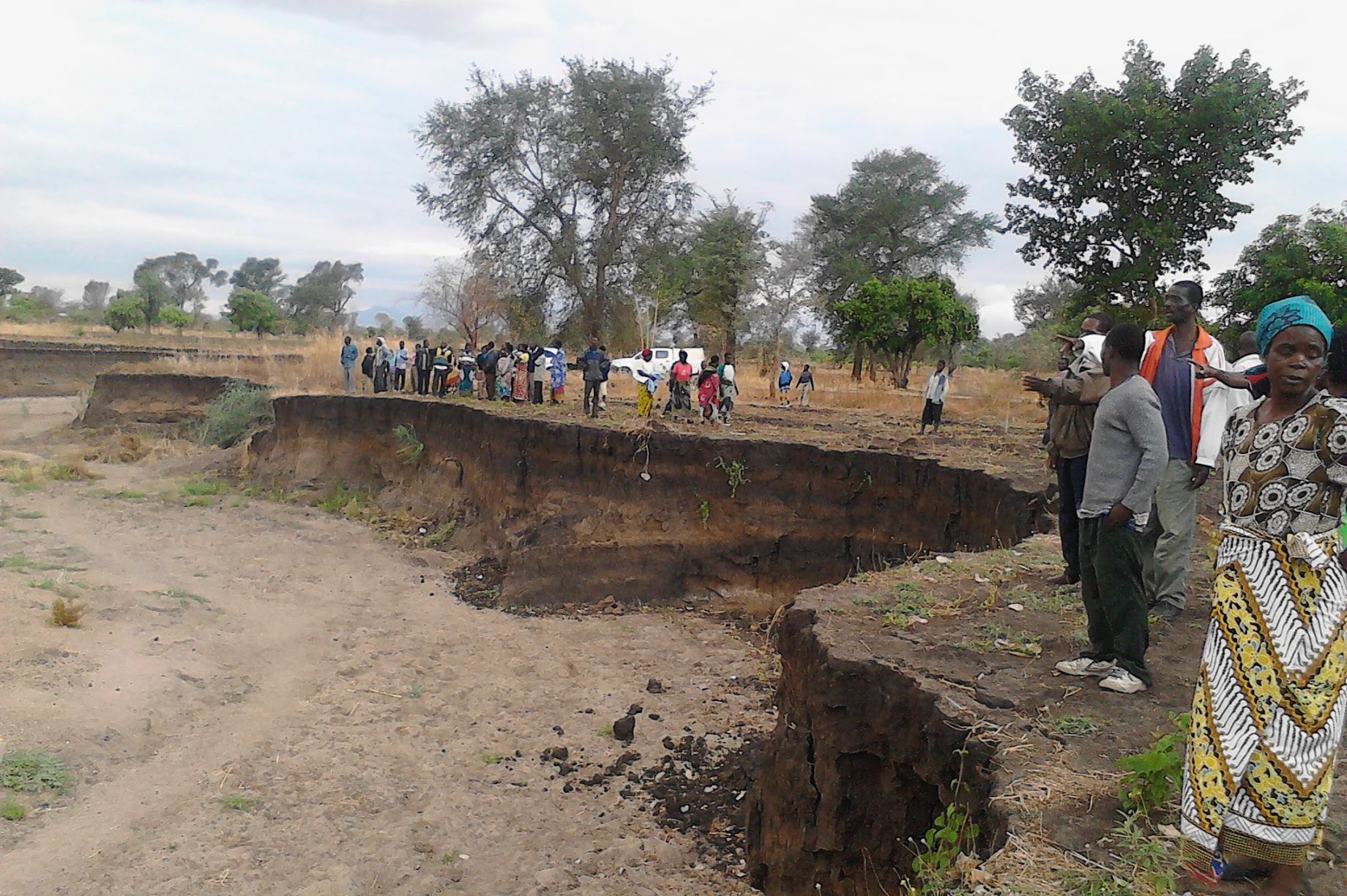 Restore Indigenous Trees for Climate Change - GlobalGiving