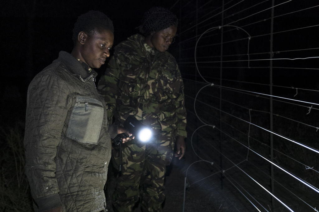 Photos from Expand the Black Mambas Rhino Anti-Poaching Unit - GlobalGiving