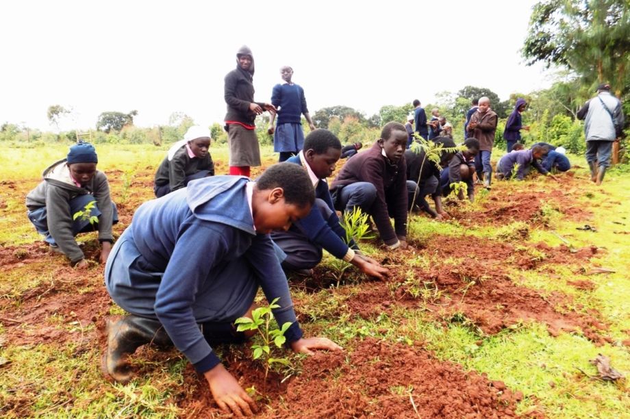 Help Reforest Degraded Lands of Mount Kenya Forest - GlobalGiving