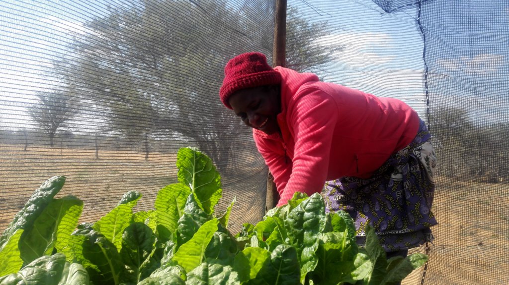 Food Security For 500 Children In Namibia - GlobalGiving