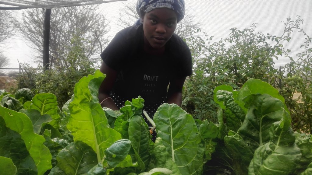 Food Security For 500 Children In Namibia - GlobalGiving