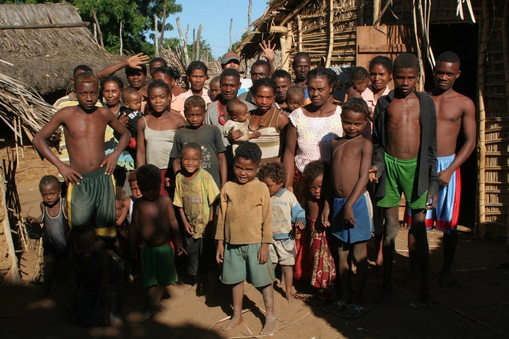 Malagasy Community Reforestation Institute - GlobalGiving