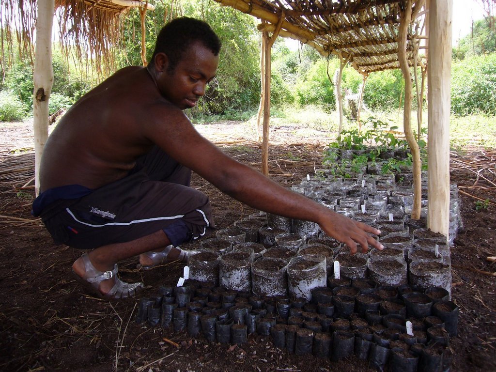 Malagasy Community Reforestation Institute - GlobalGiving