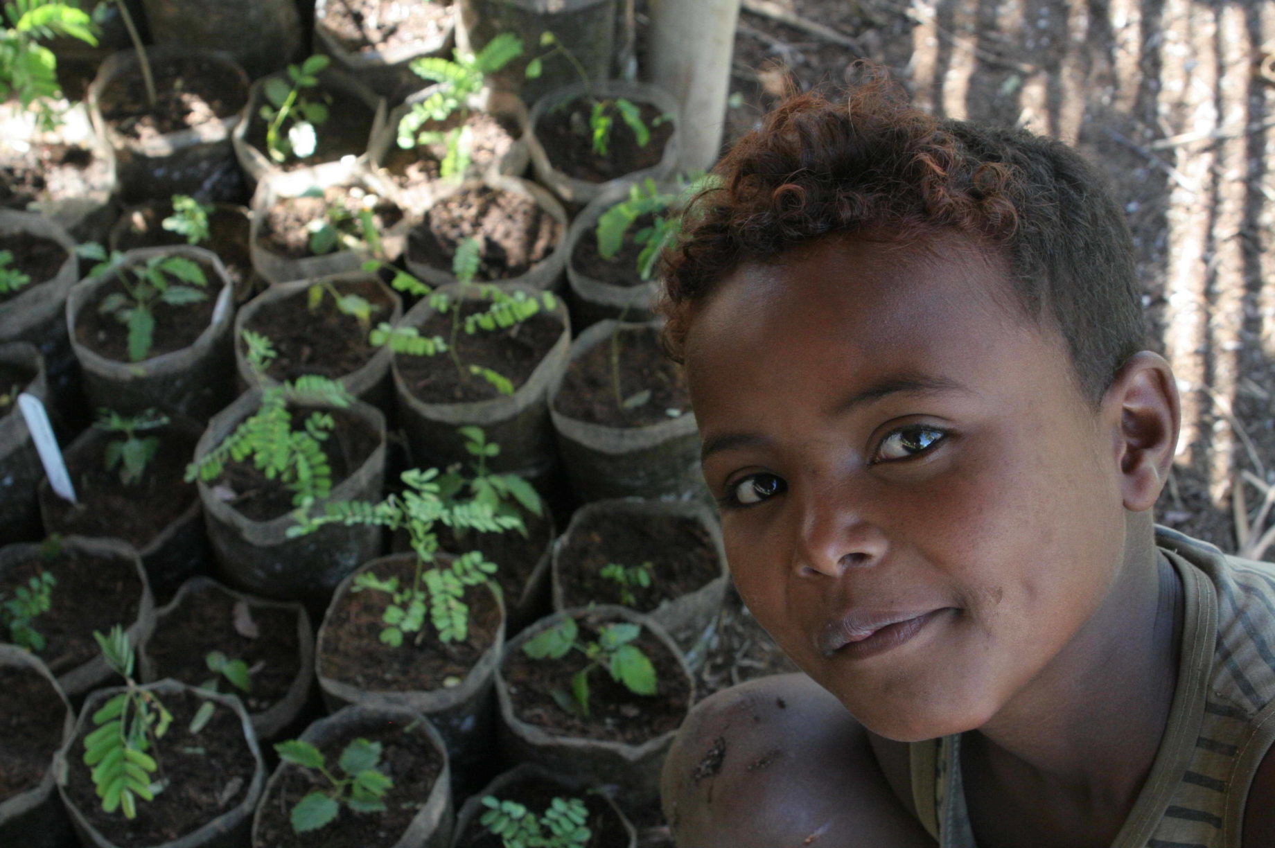 Malagasy Community Reforestation Institute - GlobalGiving
