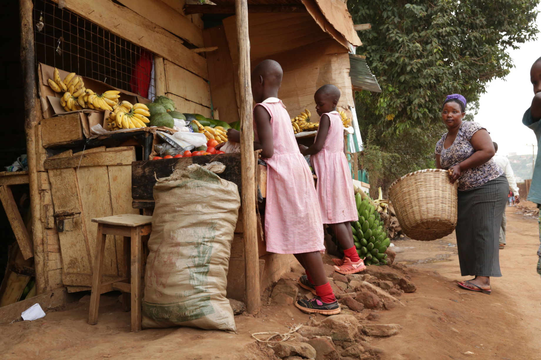 Vocational Training - Women's Micro Loan Program - GlobalGiving