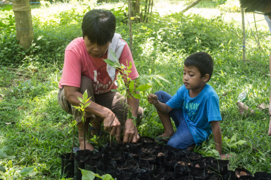 Help Us Plant 1 Hectare of Philippine Native Trees - GlobalGiving