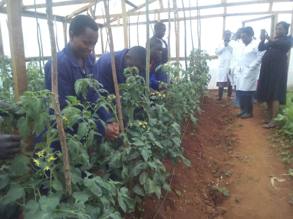 Support Dabaga Institute of Agriculture Equipment - GlobalGiving