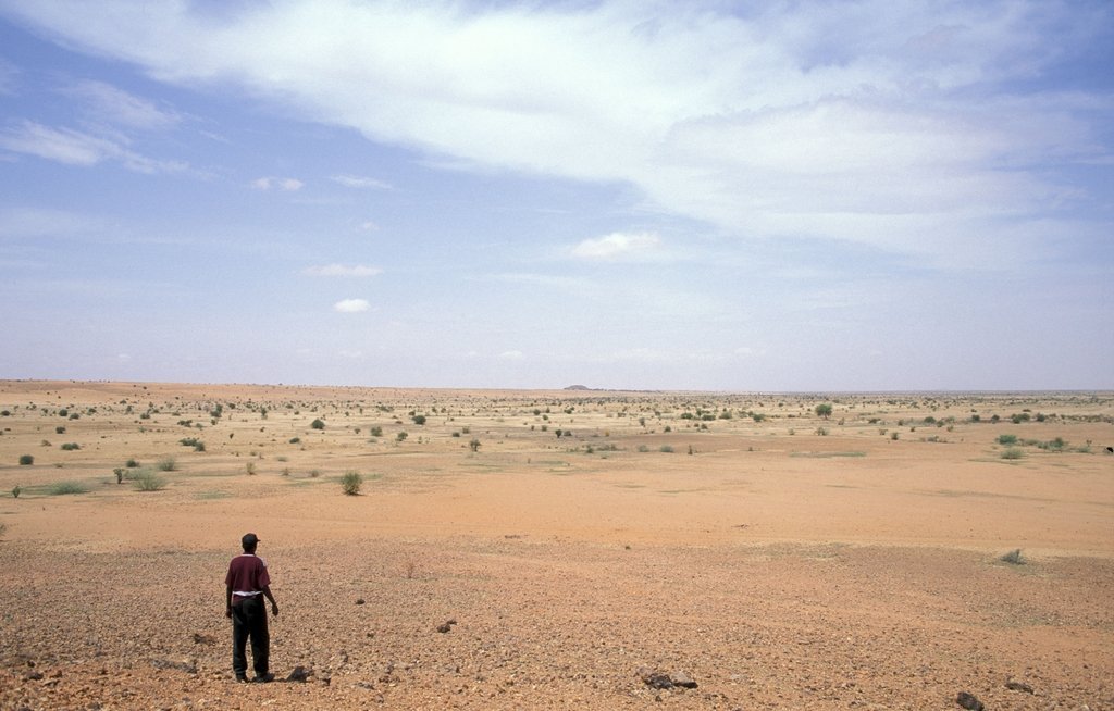 Greening Darfur: transform lives and landscapes - GlobalGiving