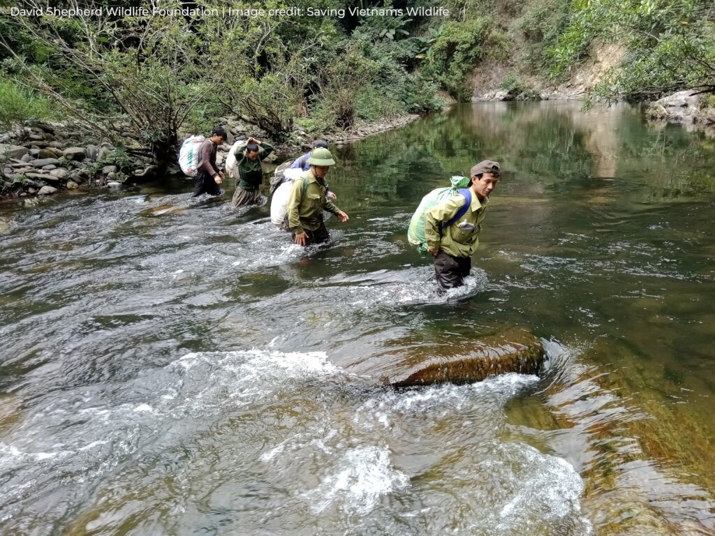 Wildlife Rangers - GlobalGiving