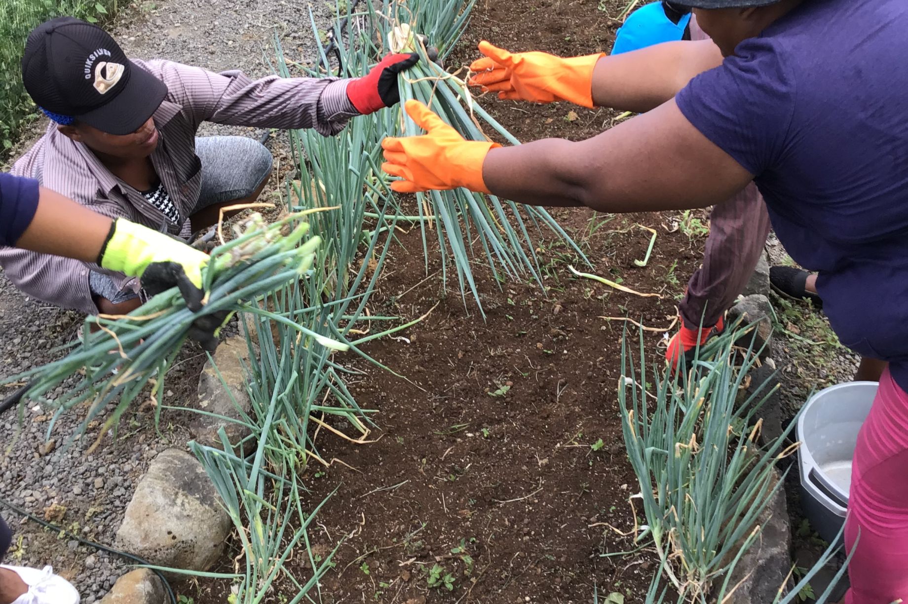 Support 15 local food entrepreneurs & teams - GlobalGiving