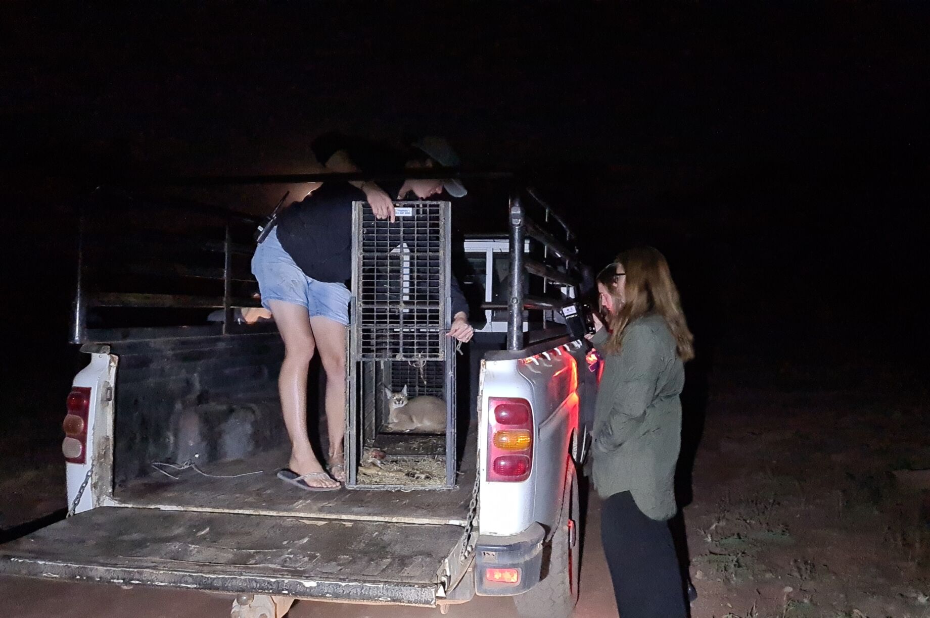 TRACK Rehabilitation Help us Help Wildlife - GlobalGiving