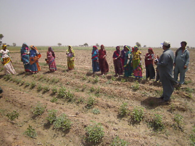 Ending Poverty with skills development in Pakistan - GlobalGiving