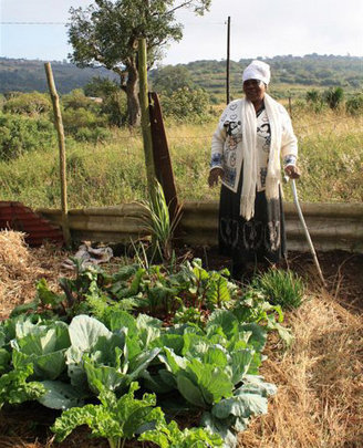 Develop sustainable farming in rural South Africa - GlobalGiving