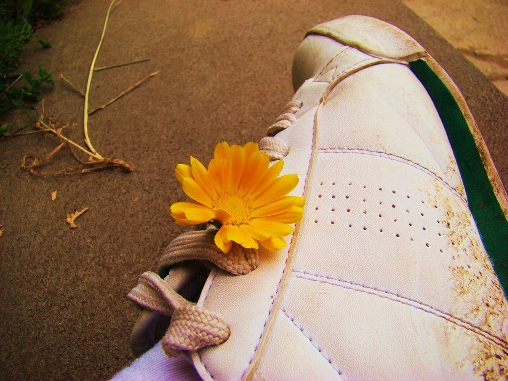 Peace Through Photography - GlobalGiving