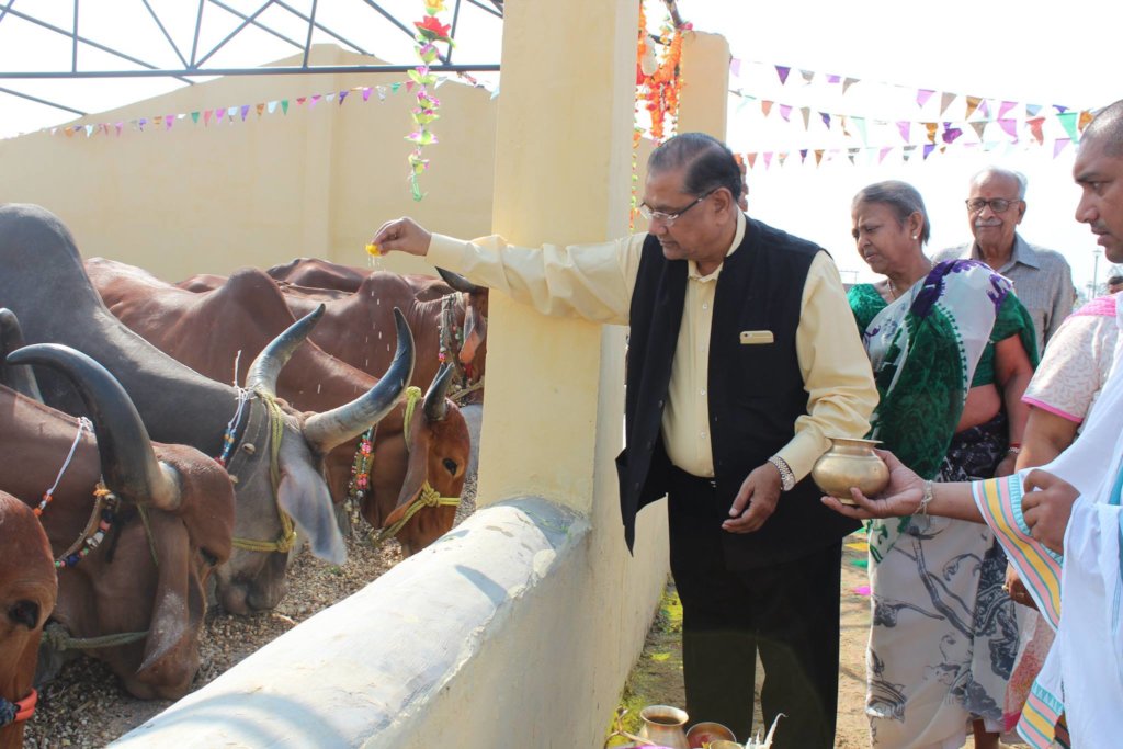 Save 500 Suffering Animals in India - GlobalGiving