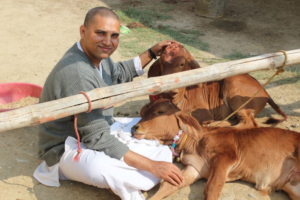 Save 500 Suffering Animals in India - GlobalGiving