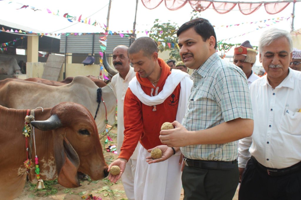 Save 500 Suffering Animals in India - GlobalGiving