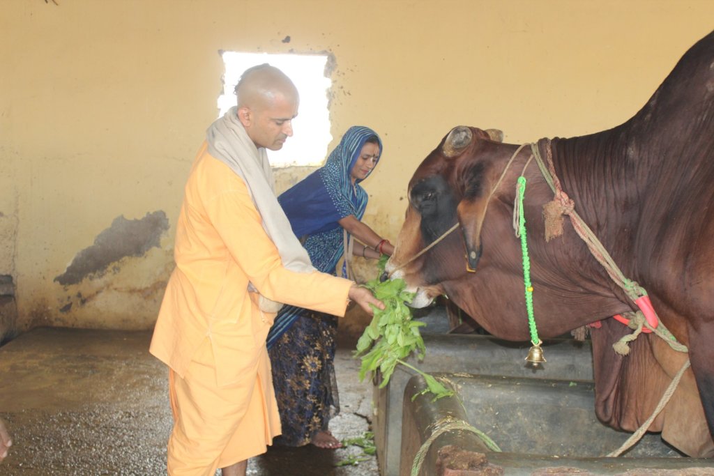 Save 500 Suffering Animals in India - GlobalGiving