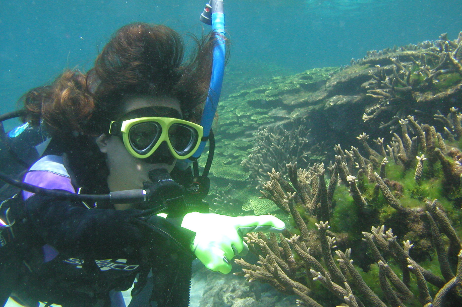 Check Coral Reef in 6 Hotspots of Taiwan - GlobalGiving