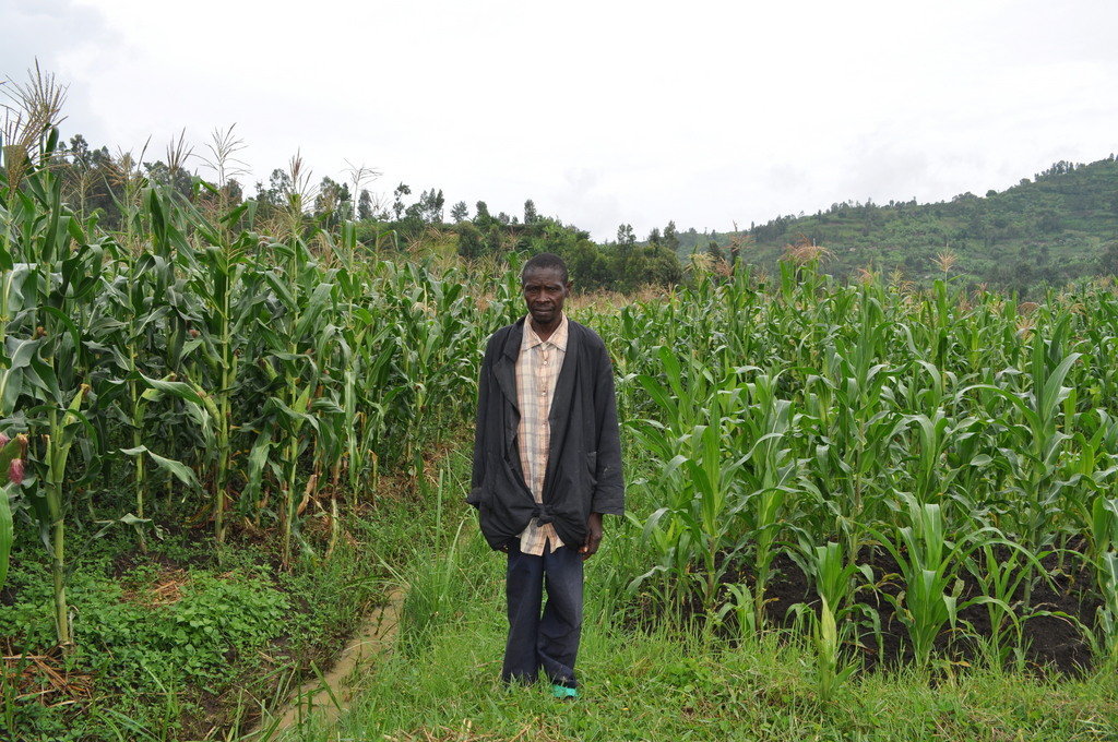 Help 500 Rwandan Farm Families Double Their Income - GlobalGiving