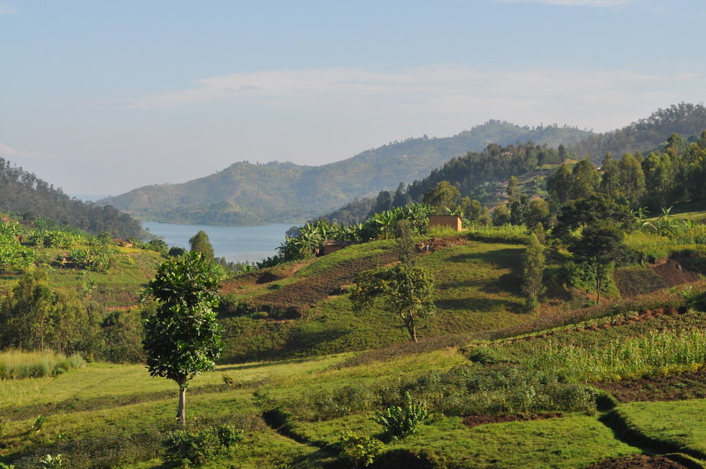 Help 500 Rwandan Farm Families Double Their Income - GlobalGiving