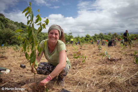 Build a Native Tree Nursery for the Daintree - GlobalGiving