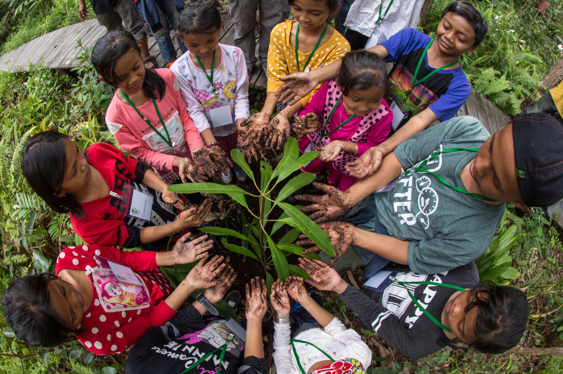 1 Million Trees: A Community Conservation Project - GlobalGiving