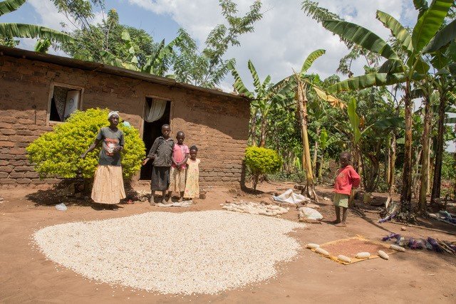 Give 35 families food security in Uganda - GlobalGiving