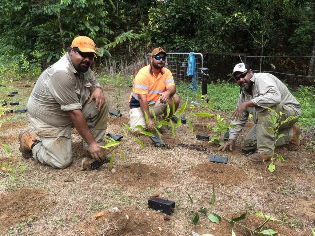 Restoring the worlds rainforests - GlobalGiving