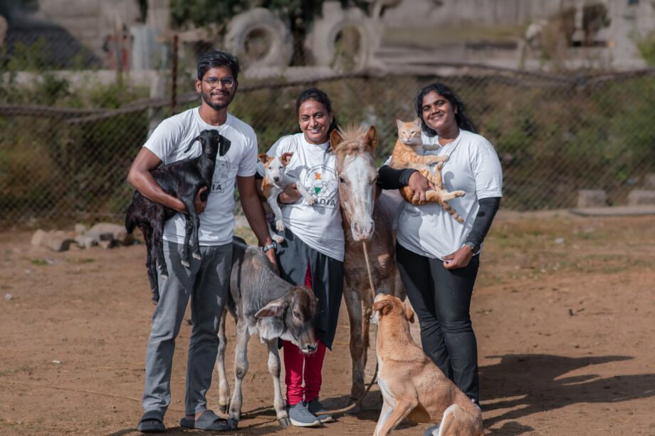 Reports on Save Street animals in India and Reduce suffering - GlobalGiving