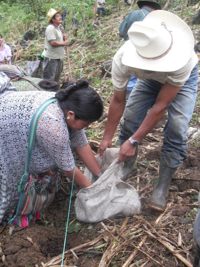 Empower Mayan families with sustainable farming - GlobalGiving