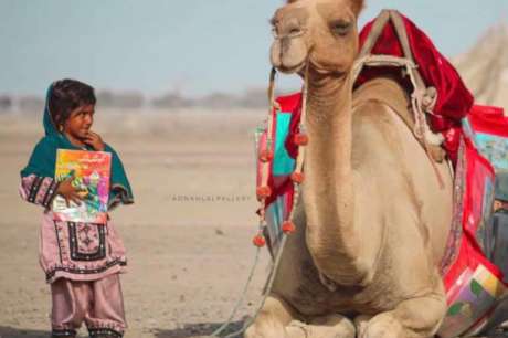 Camel Libraries - Girls Reading to Succeed - GlobalGiving