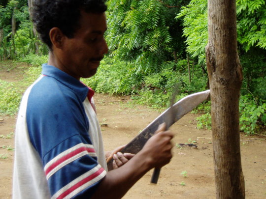 This machete grows trees! - GlobalGiving