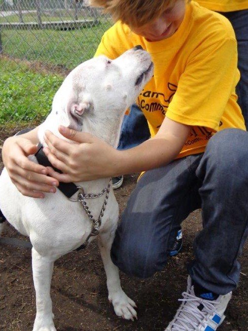 Canine Commandos - GlobalGiving