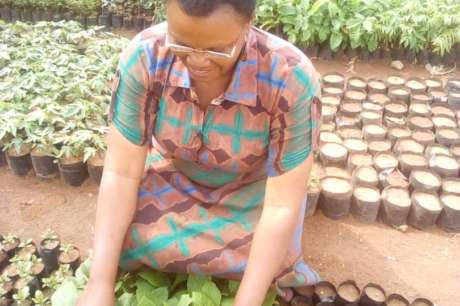 School Tree Planting Program 2021-22 - GlobalGiving