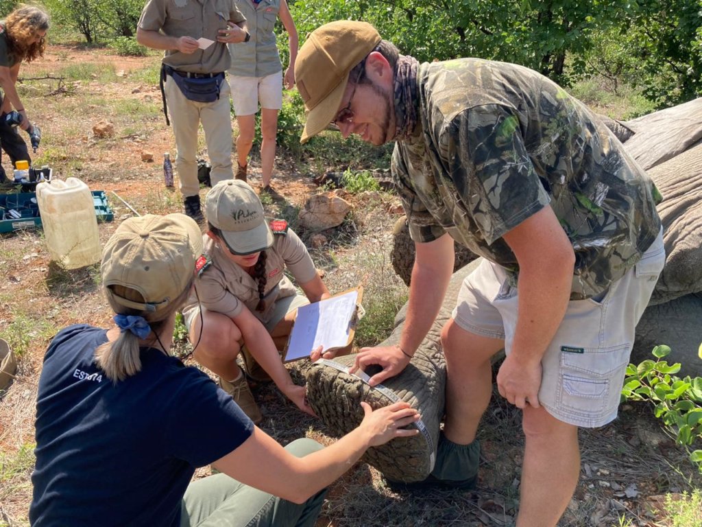 Rescuing Imperiled Wildlife in South Africa - GlobalGiving