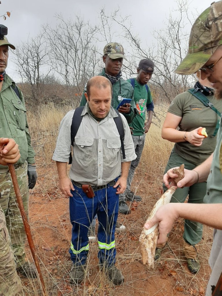 Rescuing Imperiled Wildlife in South Africa - GlobalGiving