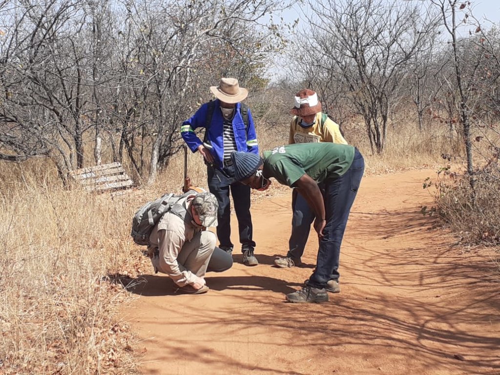 Rescuing Imperiled Wildlife in South Africa - GlobalGiving