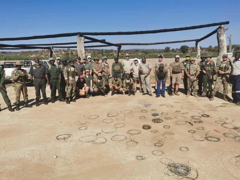 Rescuing Imperiled Wildlife in South Africa - GlobalGiving