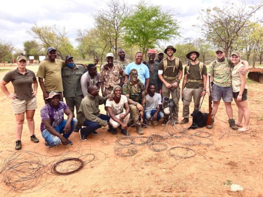 Rescuing Imperiled Wildlife in South Africa - GlobalGiving