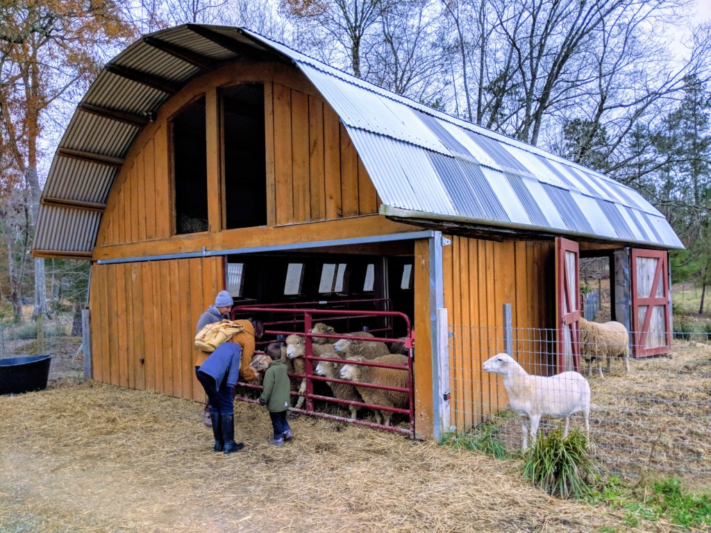 Vet Care for Rescued Farm Animals - GlobalGiving