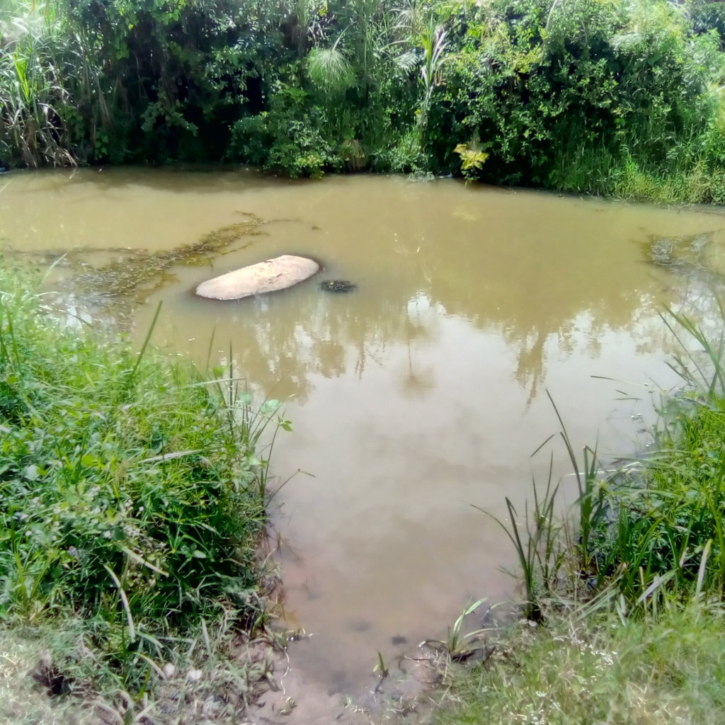 building wells for community - GlobalGiving