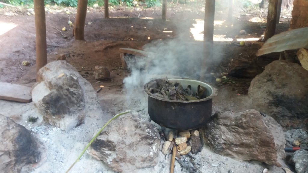Climate change adoption for 100 farmers in Uganda - GlobalGiving