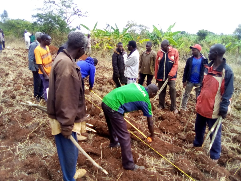 Economic Empowerment for Smallholder Farmers - GlobalGiving
