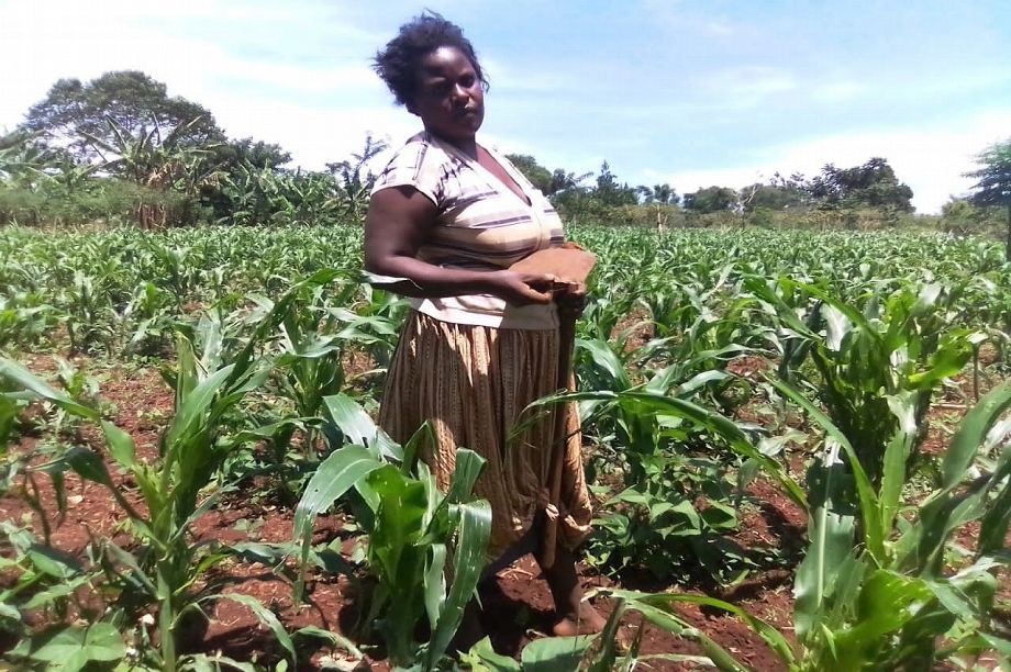 improve the livelihood of 150 women in Uganda - GlobalGiving