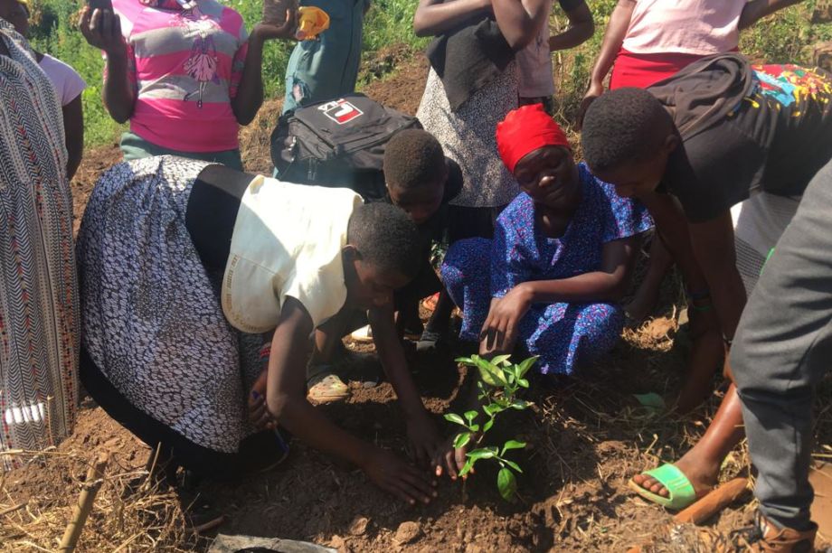 Jinja Youth Tree Nurseries - GlobalGiving