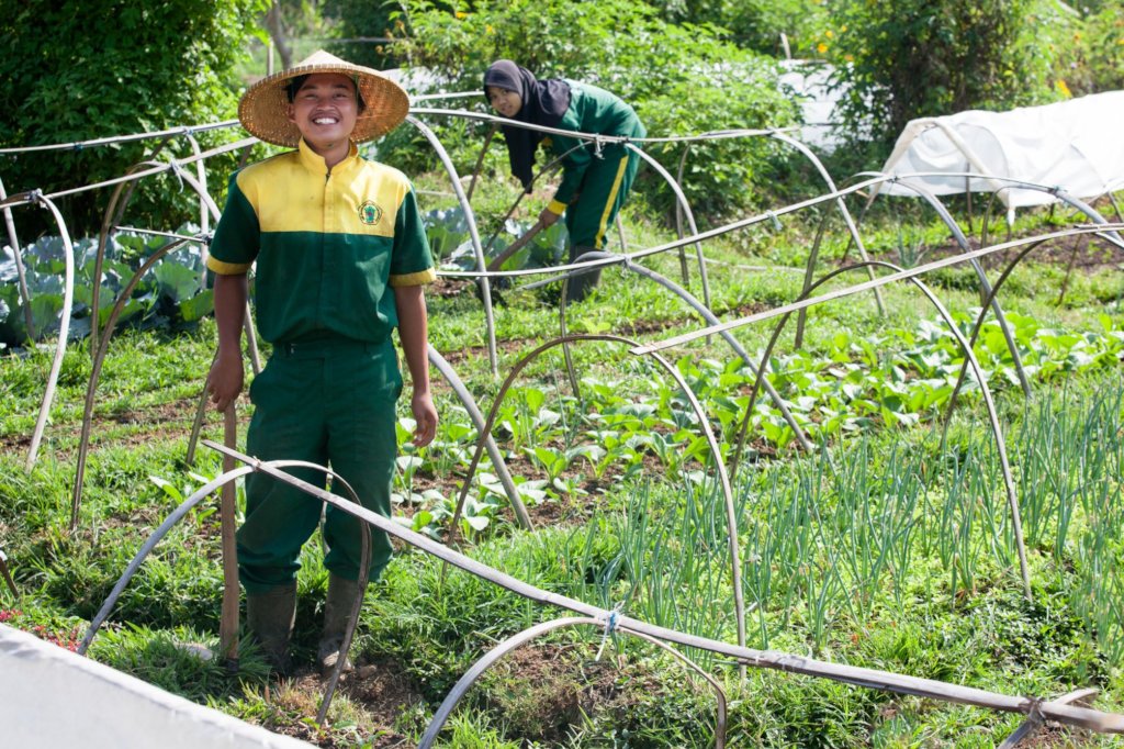 Food security through organic farming in Indonesia - GlobalGiving