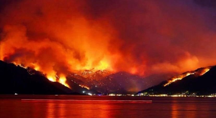 TPF Turkey 2021 Wildfire Relief Fund - GlobalGiving